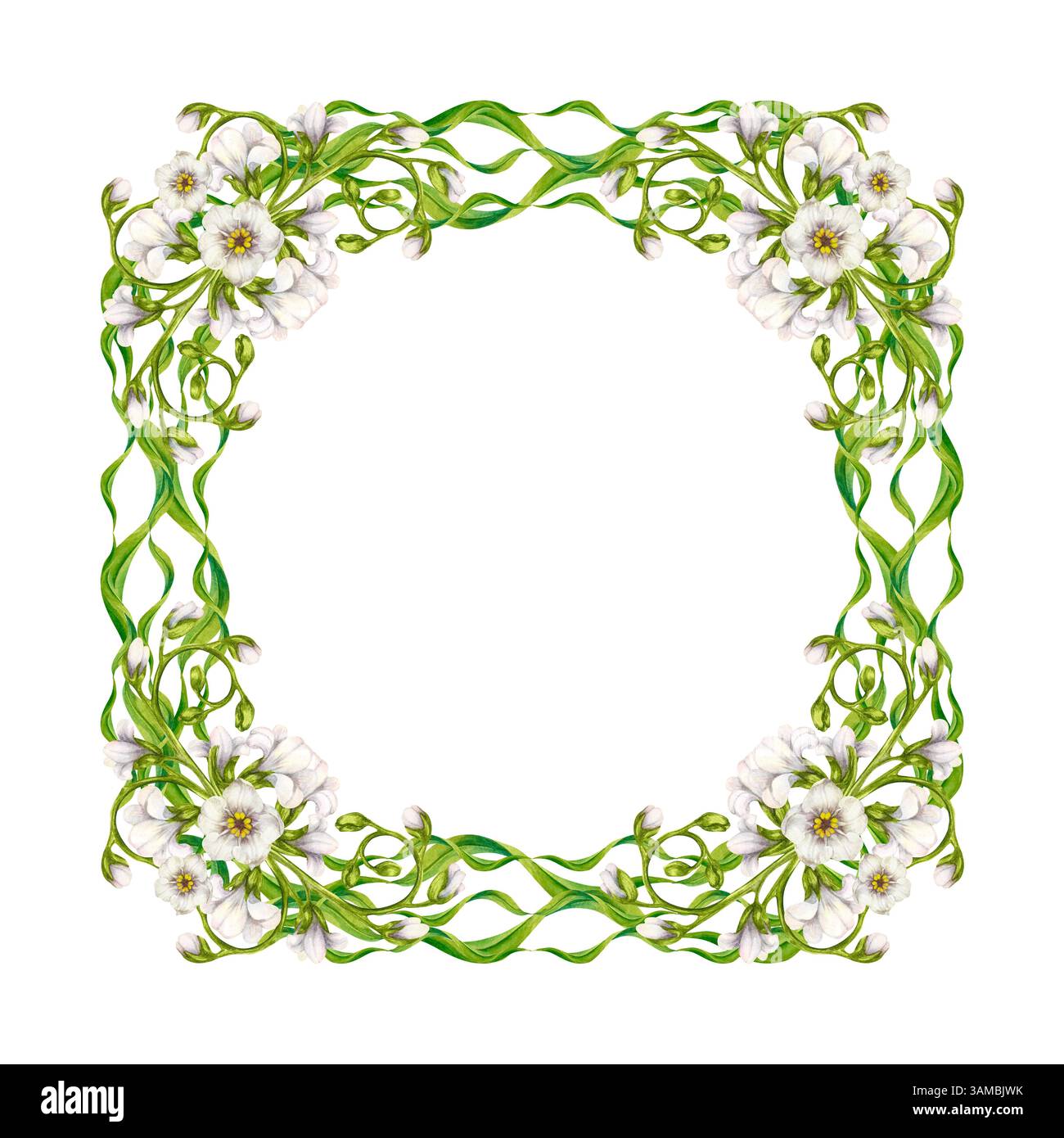 Watercolor floral frame with green vine, leaves, white flowers. Square ...