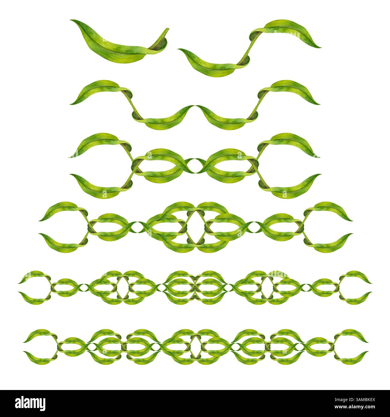Watercolor floral set with green swirls leaves. Botanical template for ...