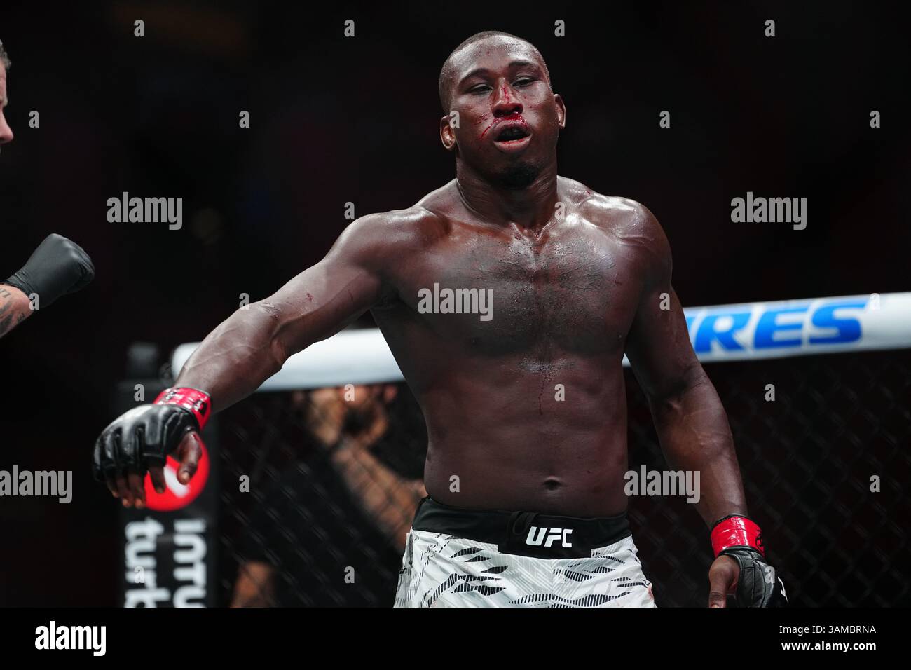 MIAMI, FL - APRIL 12:Tresean Gore and Marco Tulio at UFC 314 ...