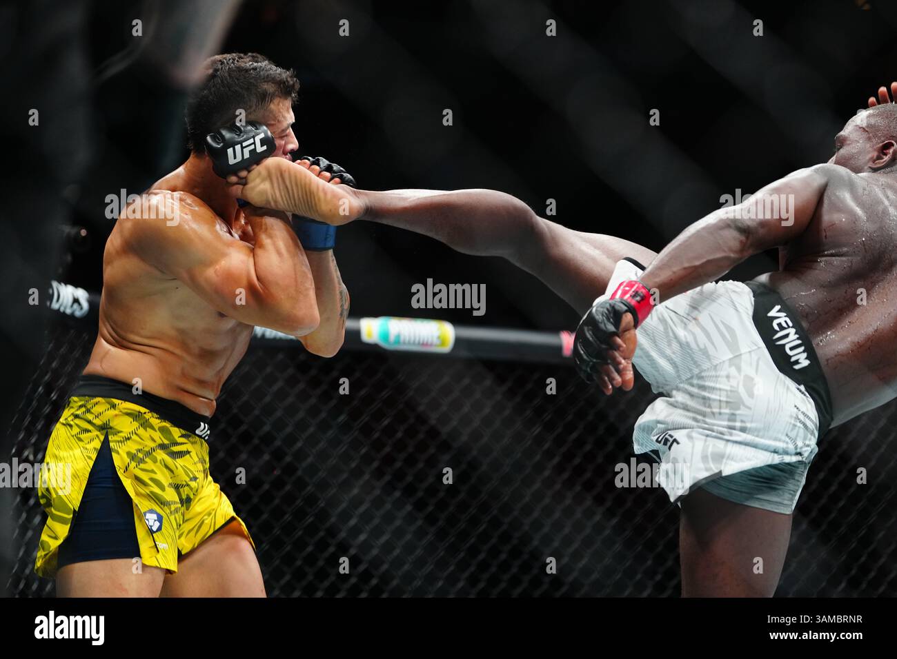 MIAMI, FL - APRIL 12:Tresean Gore and Marco Tulio at UFC 314 ...