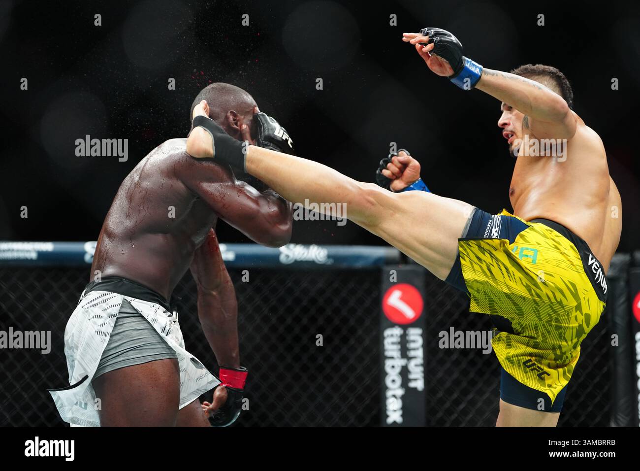 MIAMI, FL - APRIL 12:Tresean Gore and Marco Tulio at UFC 314 ...