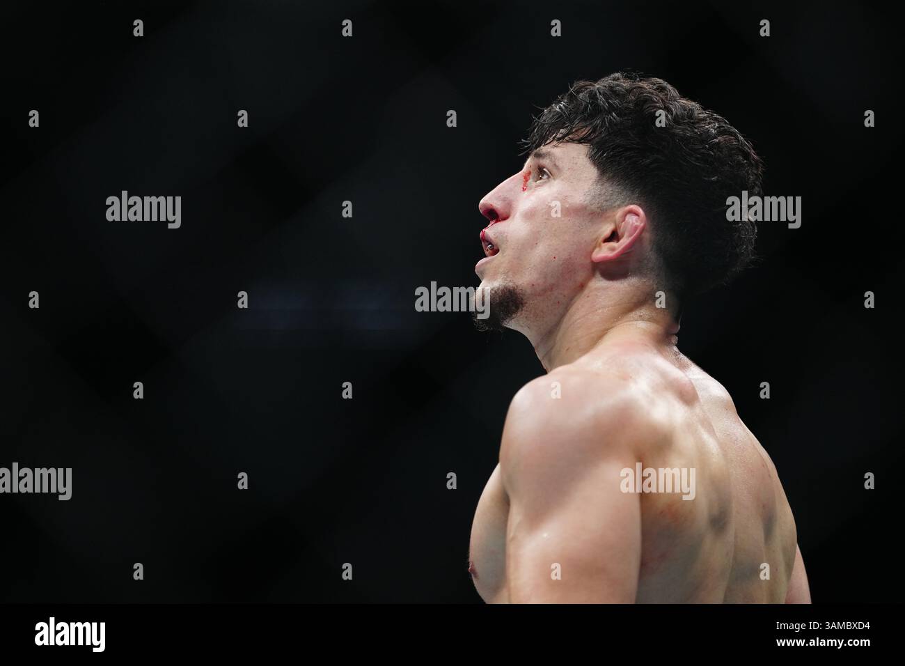 Sumudaerji and mitch raposo hi-res stock photography and images - Alamy