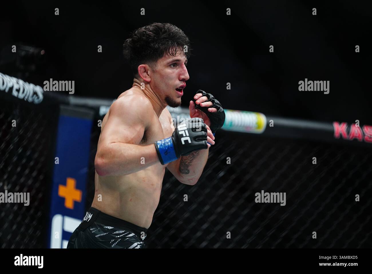MIAMI, FL - APRIL 12:Sumudaerji and Mitch Raposo meet in the octagon ...