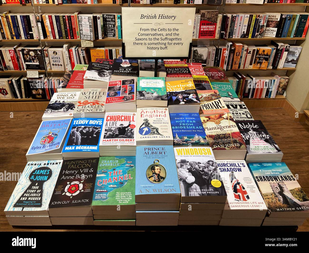 A selection of best of British History books for sale at the book store ...