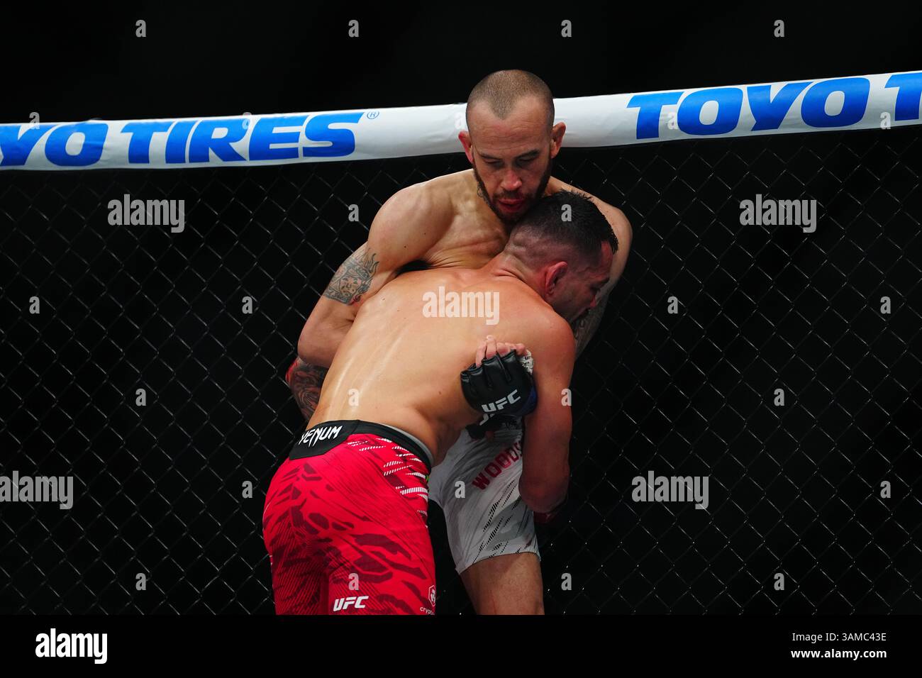 MIAMI, FL - APRIL 12: Dan Ige and Sean Woodson meet in the octagon for ...