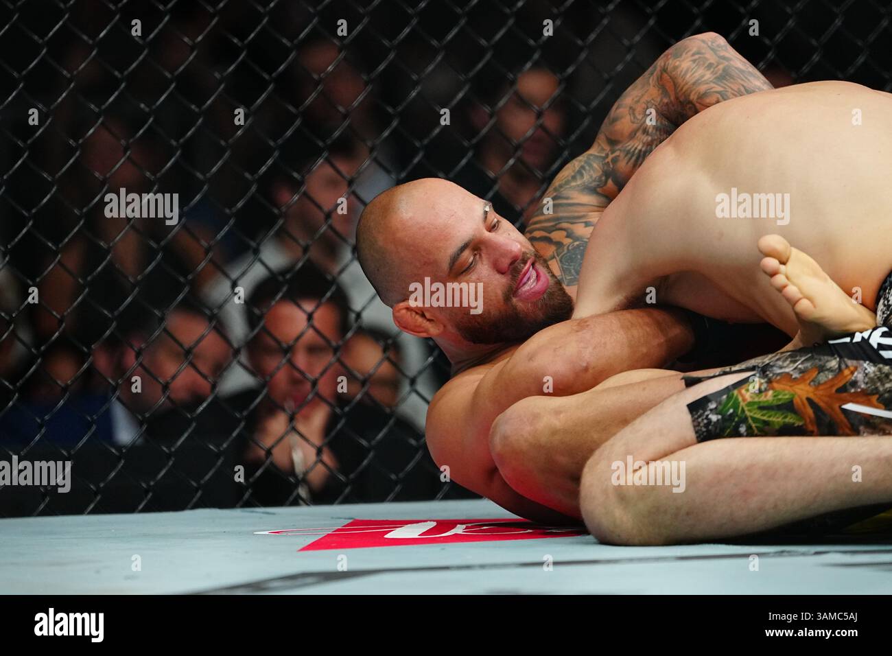 MIAMI, FL - APRIL 12: Bryce Mitchell and Jean Silva meet in the octagon ...