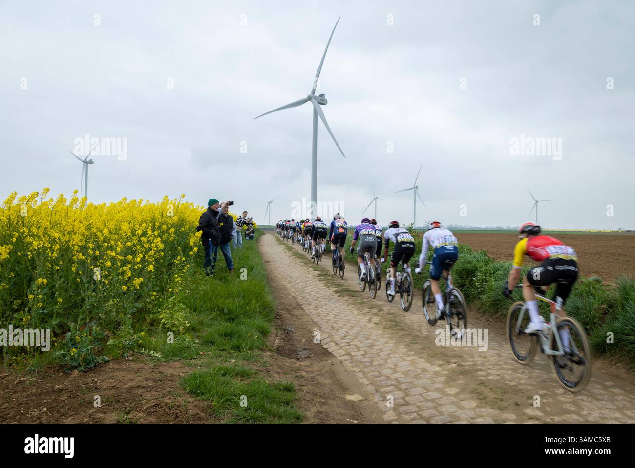 Riders in the Paris-Roubaix 2025 Image Credit: PelotonPix/Dave Dodge ...