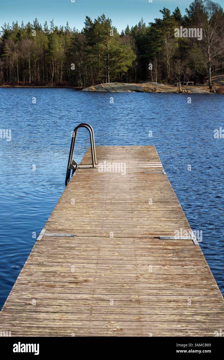 Wooden dock with swim ladder on calm forest lake Stock Photo - Alamy