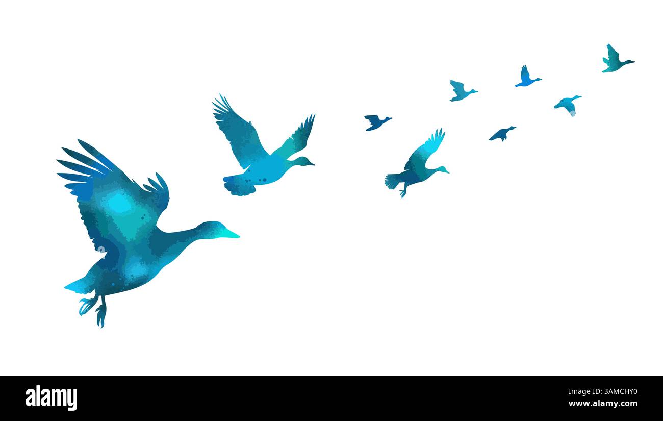 A flock of blue ducks flying. hand drawing. Not AI. Vector illustration ...