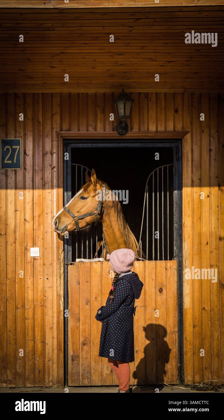 Horse and a child looking at the same direction Stock Photo - Alamy