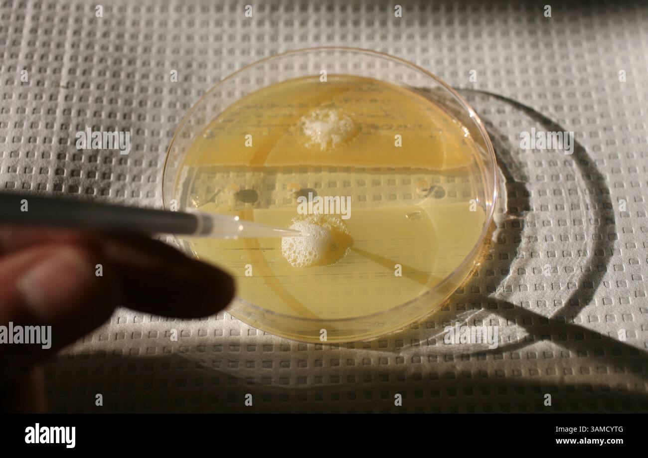 Hydrogen peroxide bubbles hi-res stock photography and images - Alamy