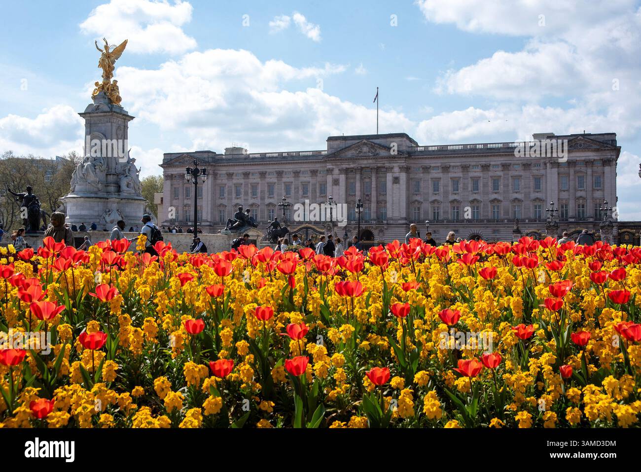 April 13, 2025, London, United Kingdom: Thousands of tulips are seen ...