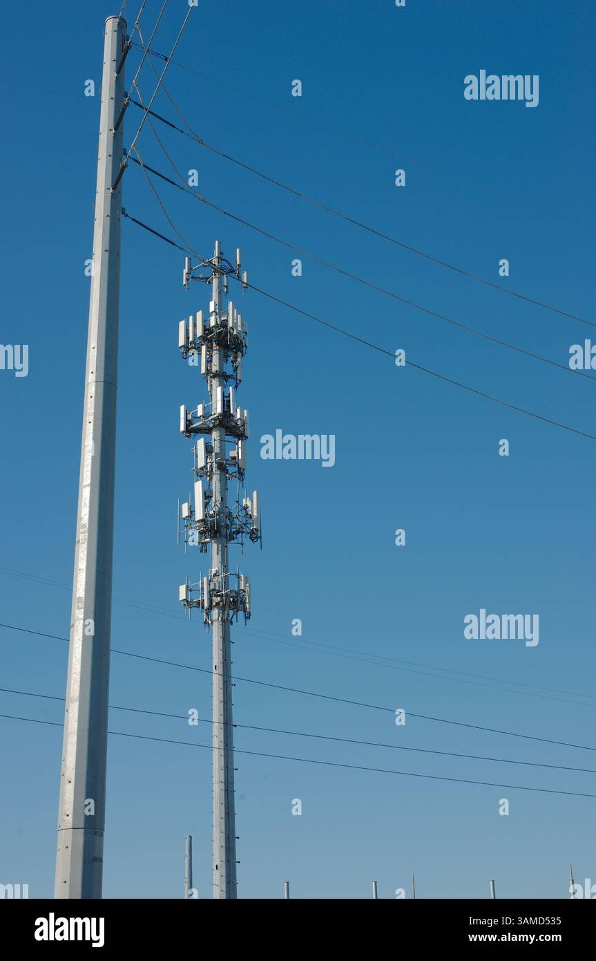 Vertical view of the Electric substation Leading lines poles with High ...