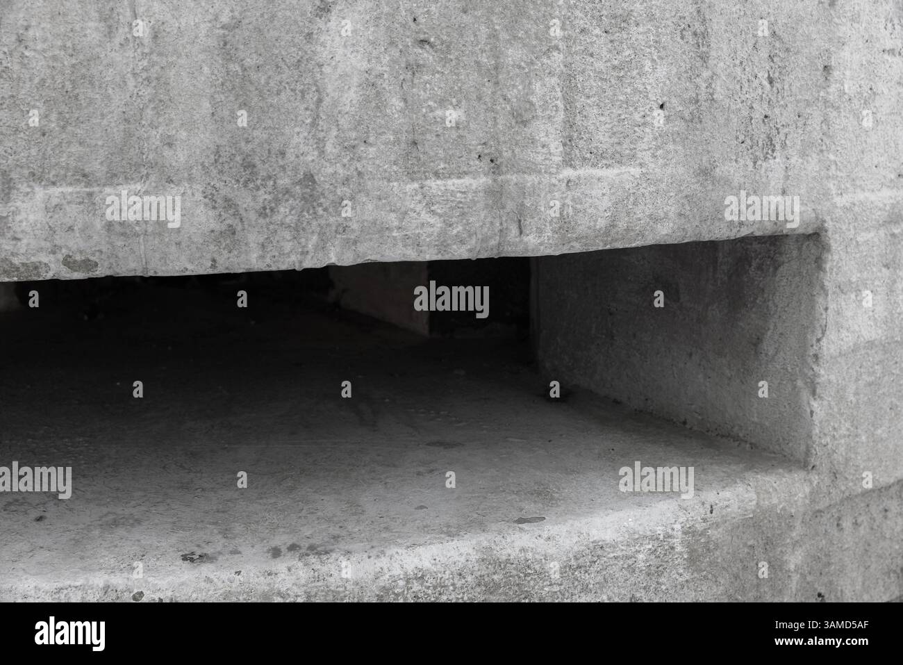 Detailed image showcasing a textured concrete structure featuring an ...
