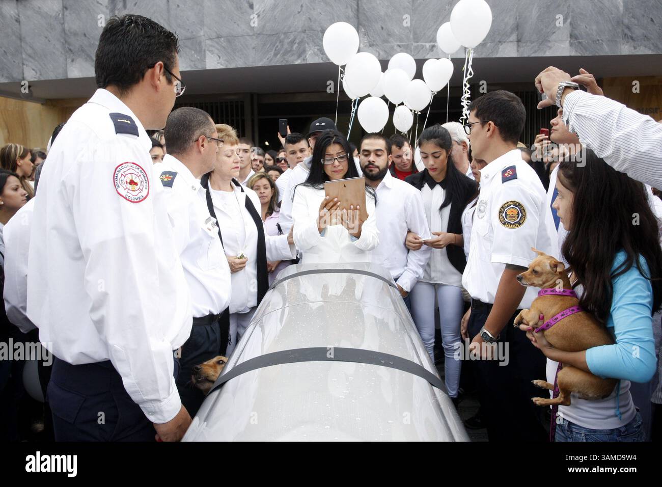 Perro angel hi-res stock photography and images - Alamy