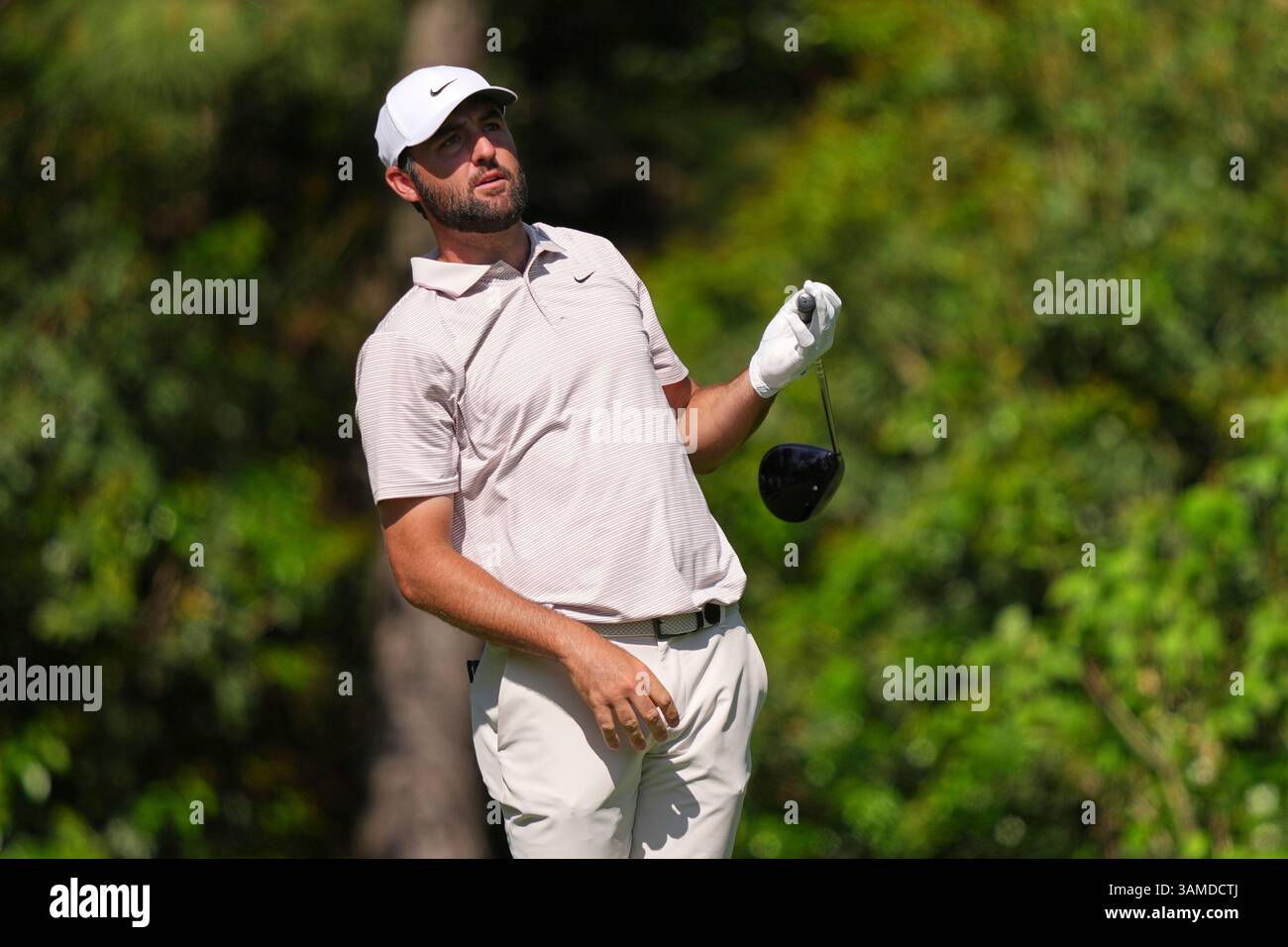 Scottie Scheffler watches his tee shot on the 11th hole during the ...