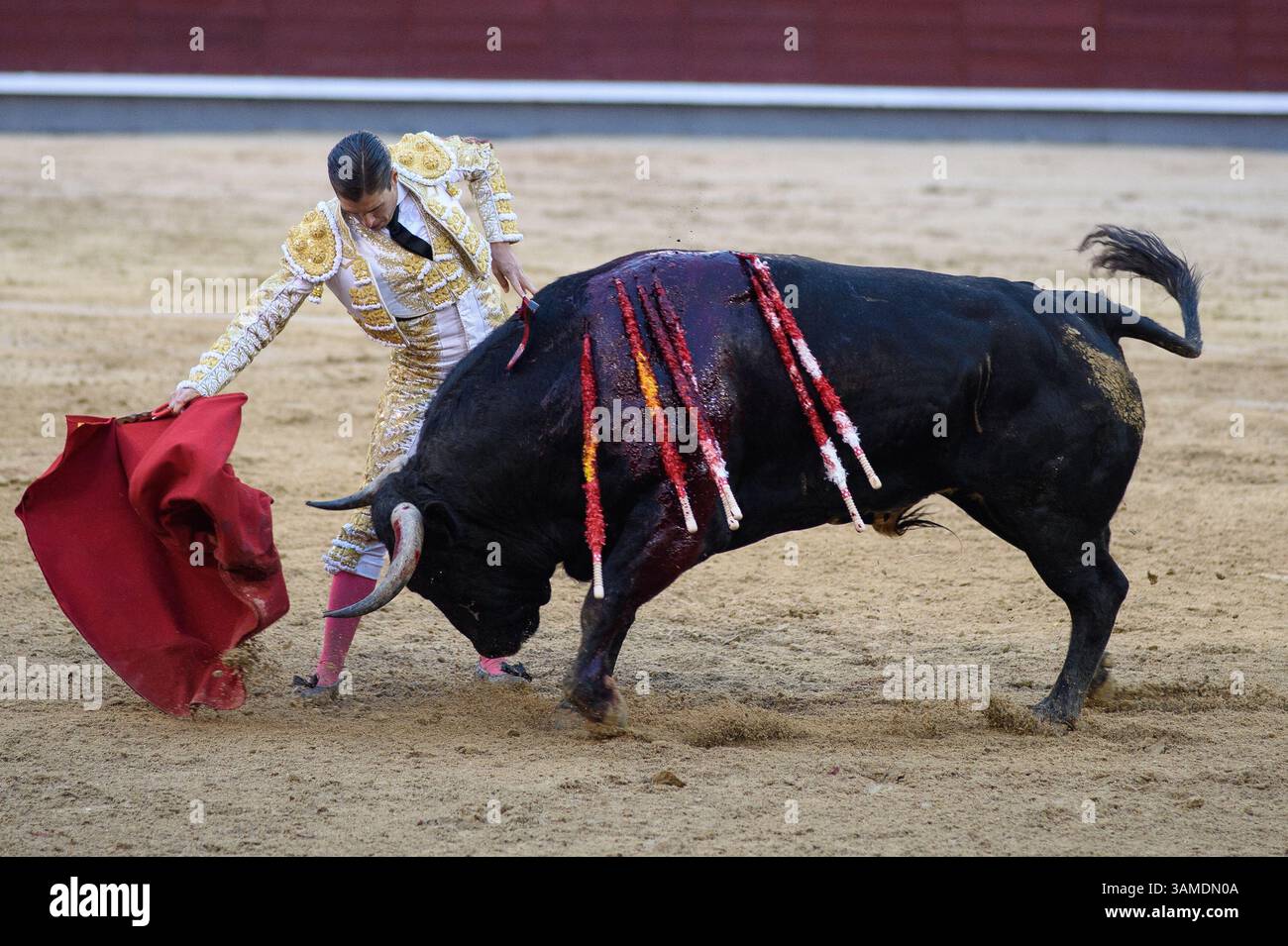 Madrid, Spain. 15th Feb, 2025. Bullfighter Alejandro Mora during the ...