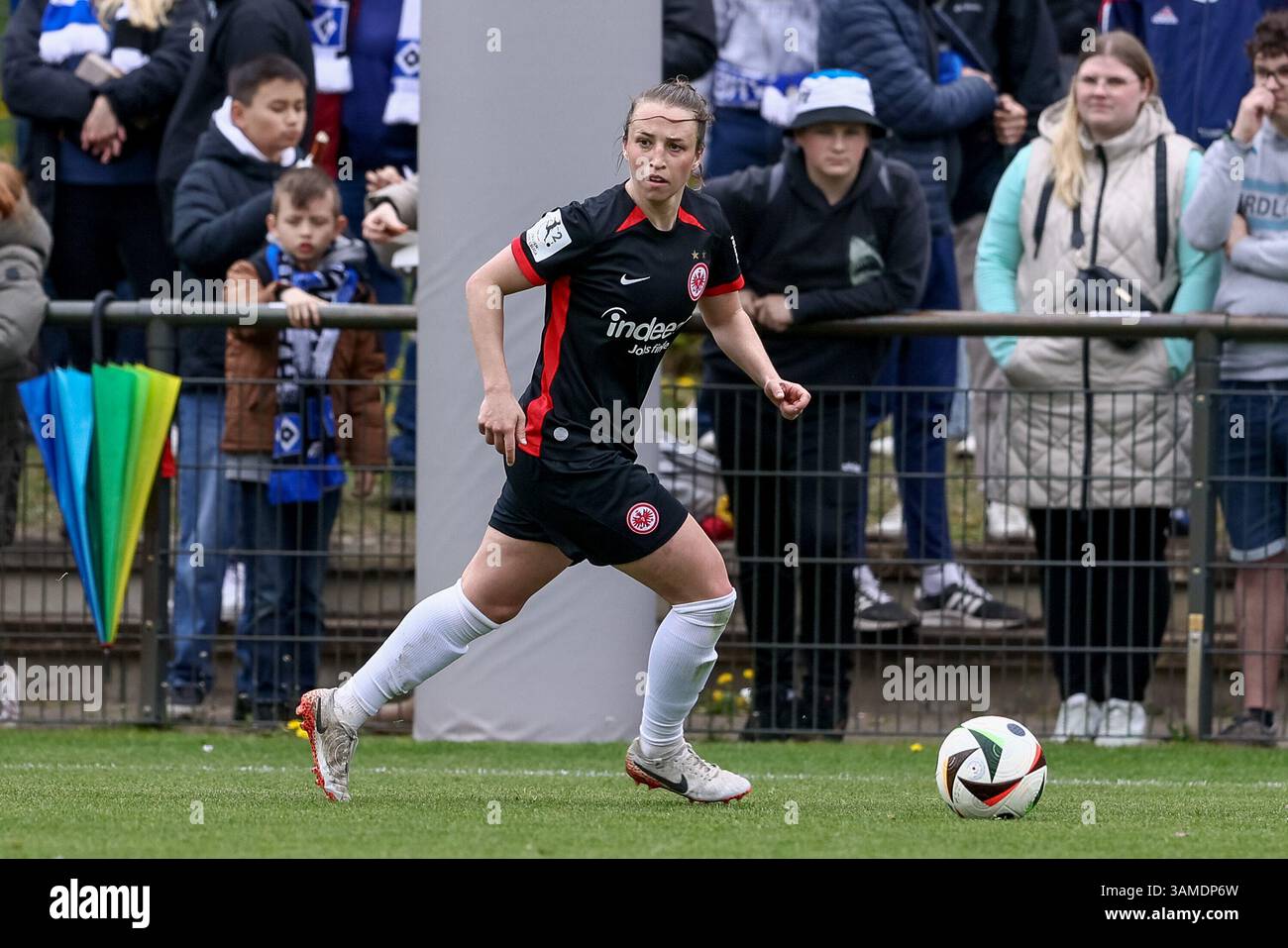 Specht fotos hi-res stock photography and images - Alamy