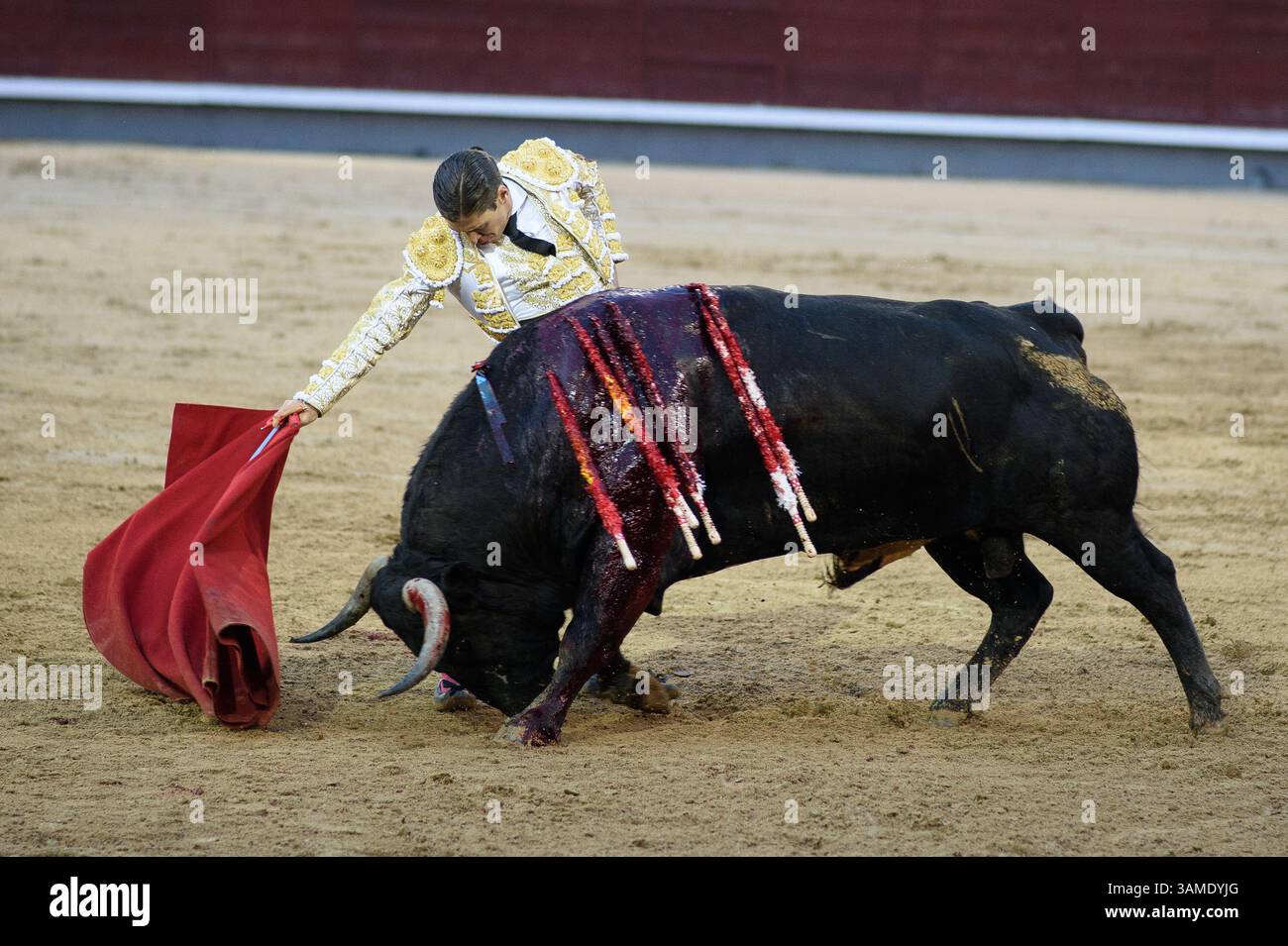 Madrid, Spain. 15th Feb, 2025. Bullfighter Alejandro Mora during the ...