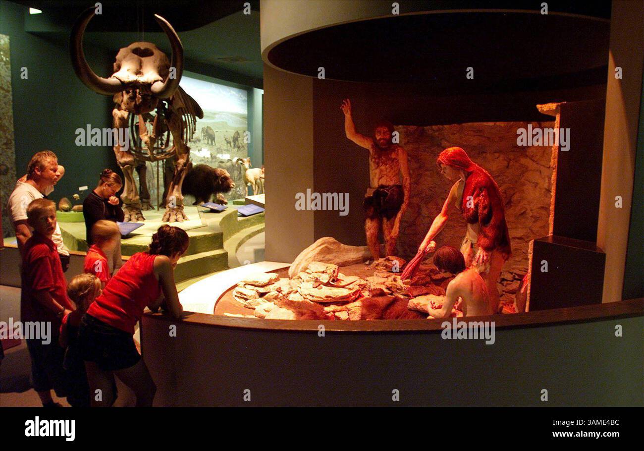 Neanderthal child and family hi-res stock photography and images - Alamy