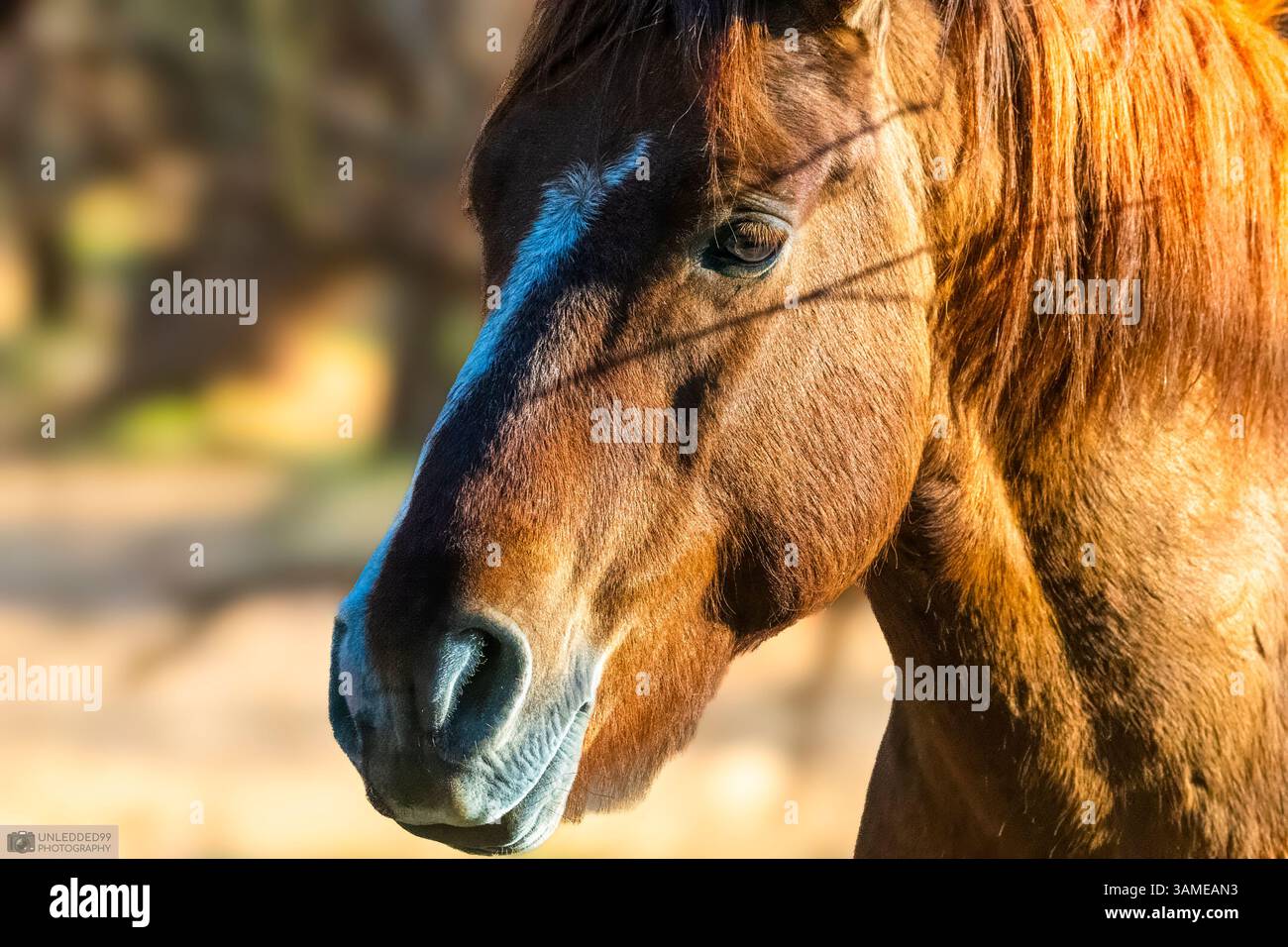 Styling And Smiling For The Camera Stock Photo - Alamy