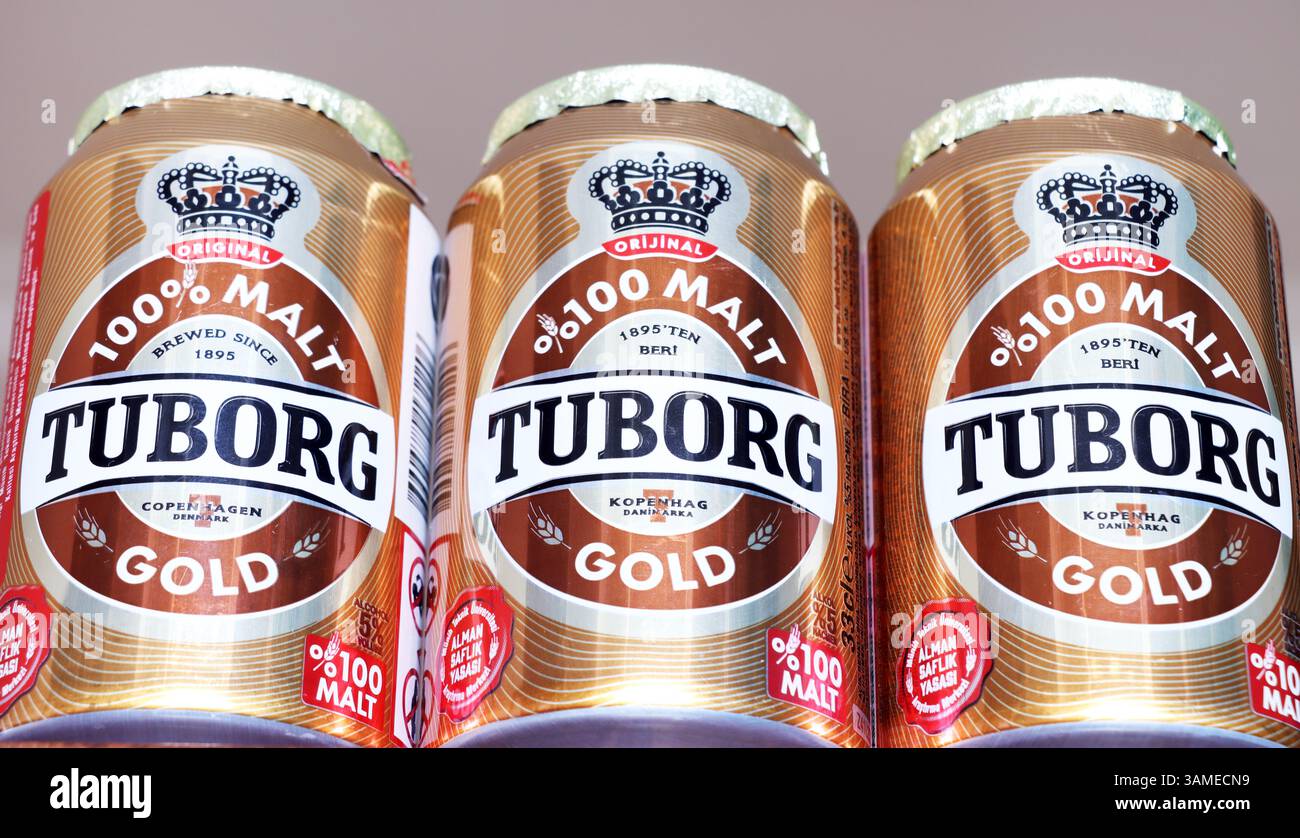 Tuborg gold malt beverage cans display with logo and branding Stock ...