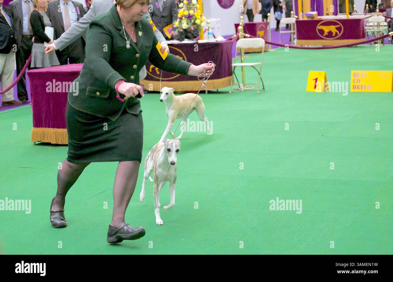 Westminster staton hi-res stock photography and images - Alamy