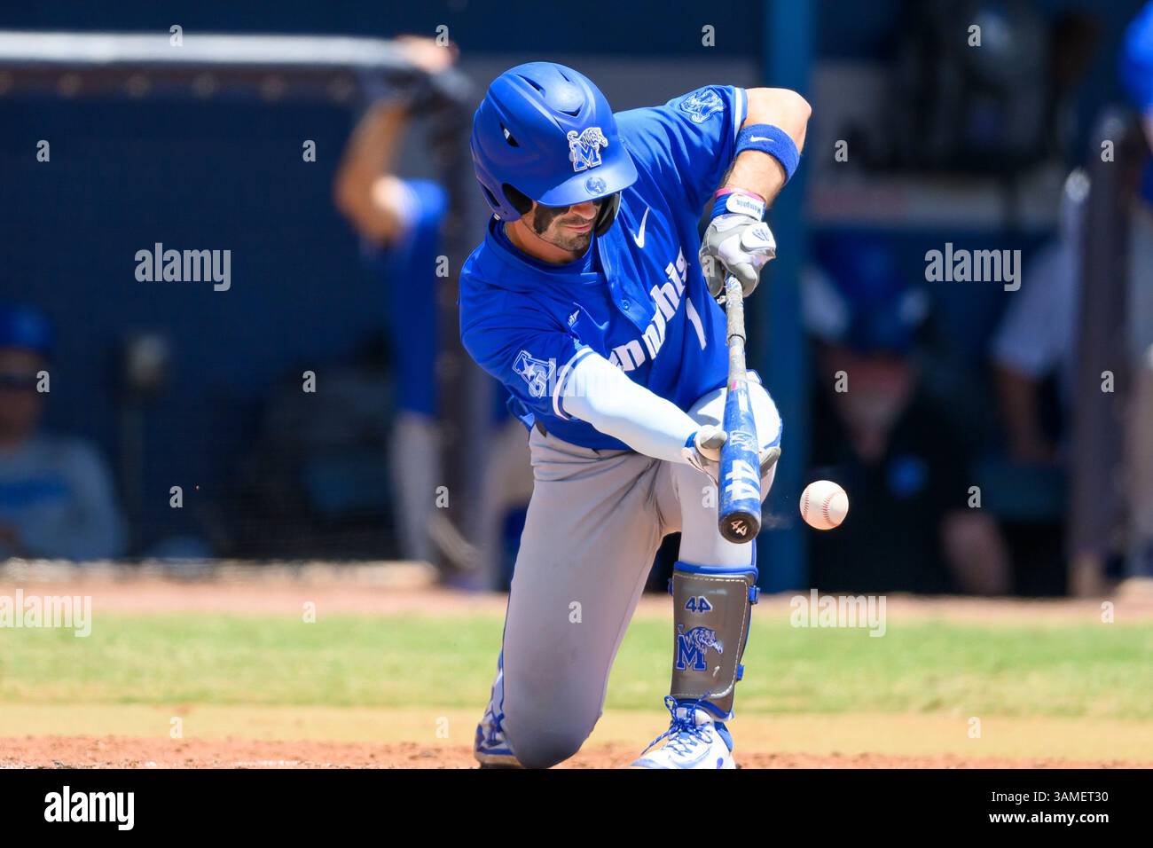 Memphis infielder Creek Robertson (1) bunts during an NCAA baseball ...