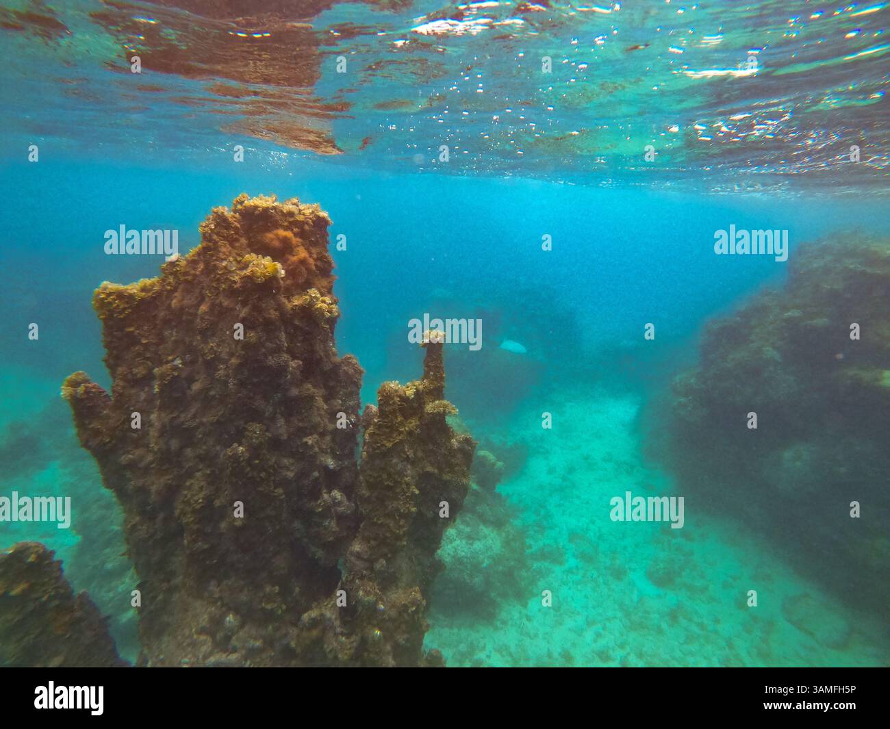Oracabessa, Jamaica. 13th Apr, 2025. Coral reef formations off of ...