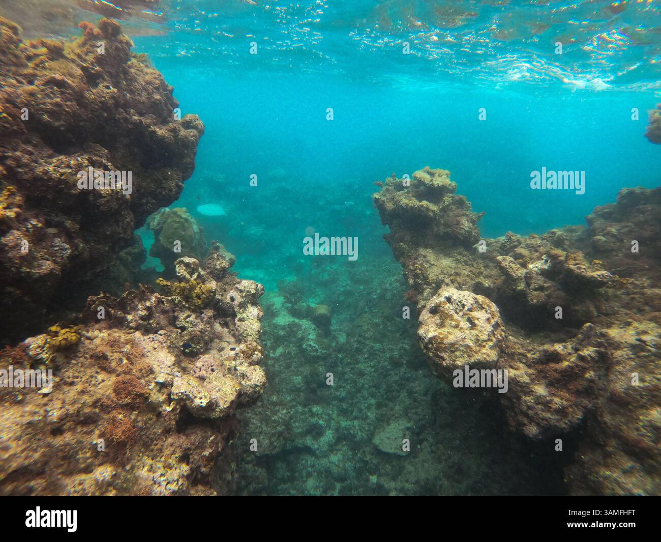Oracabessa, Jamaica. 13th Apr, 2025. Coral reef formations off of ...
