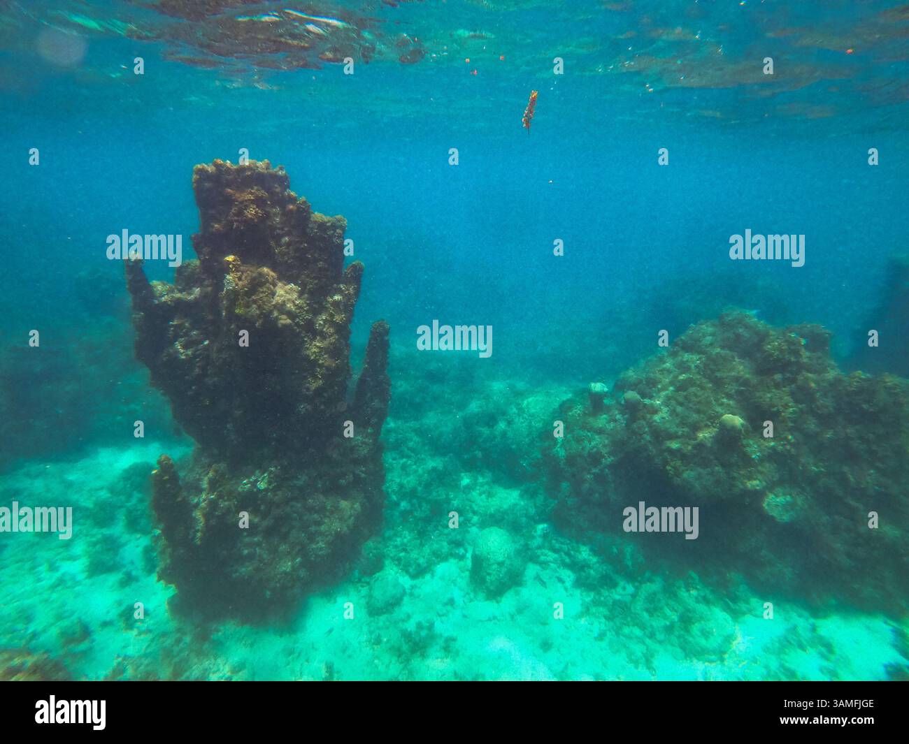 April 13, 2025, Oracabessa, Jamaica: Coral reef formations off of ...