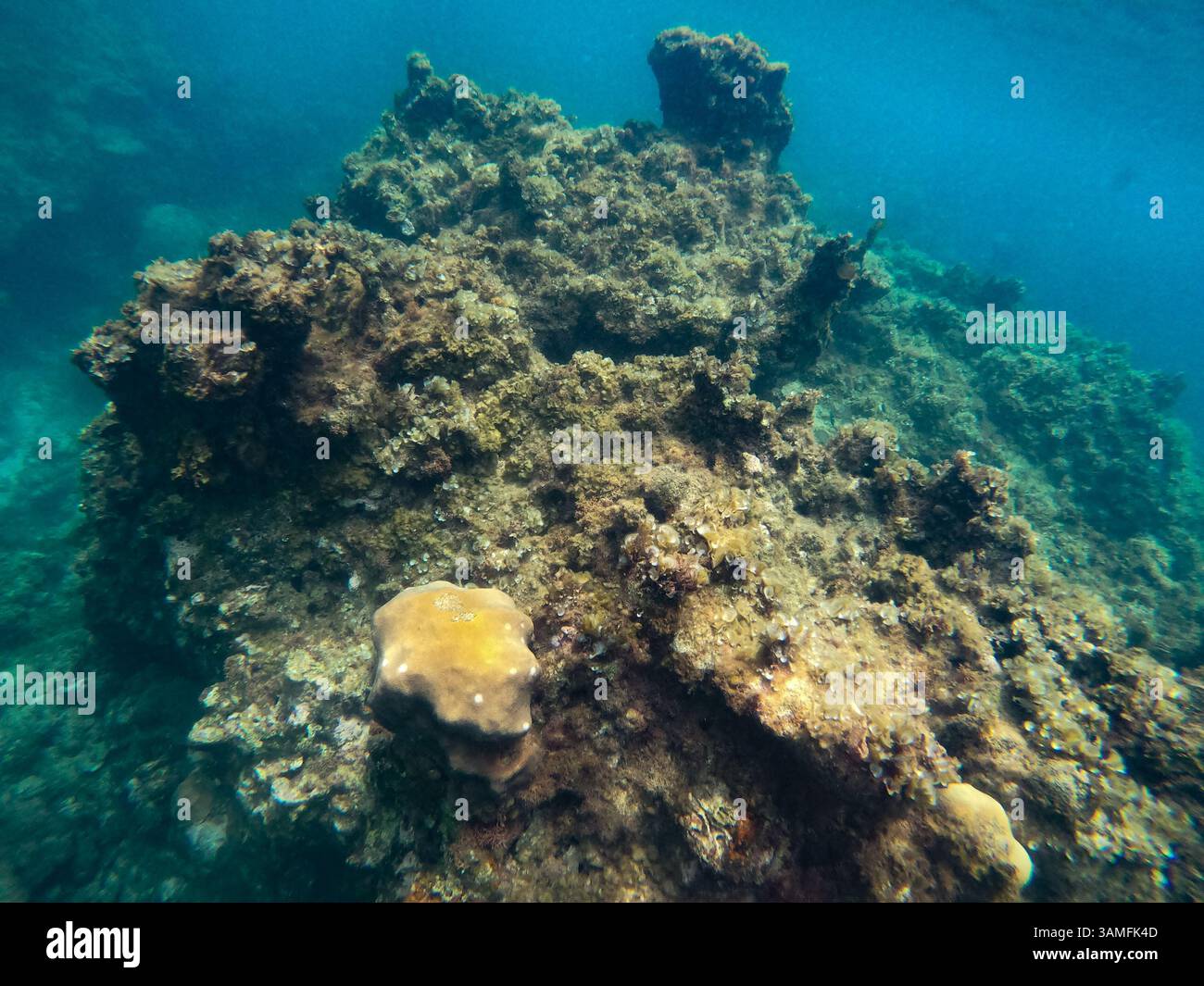 April 13, 2025, Oracabessa, Jamaica: Coral reef formations off of ...