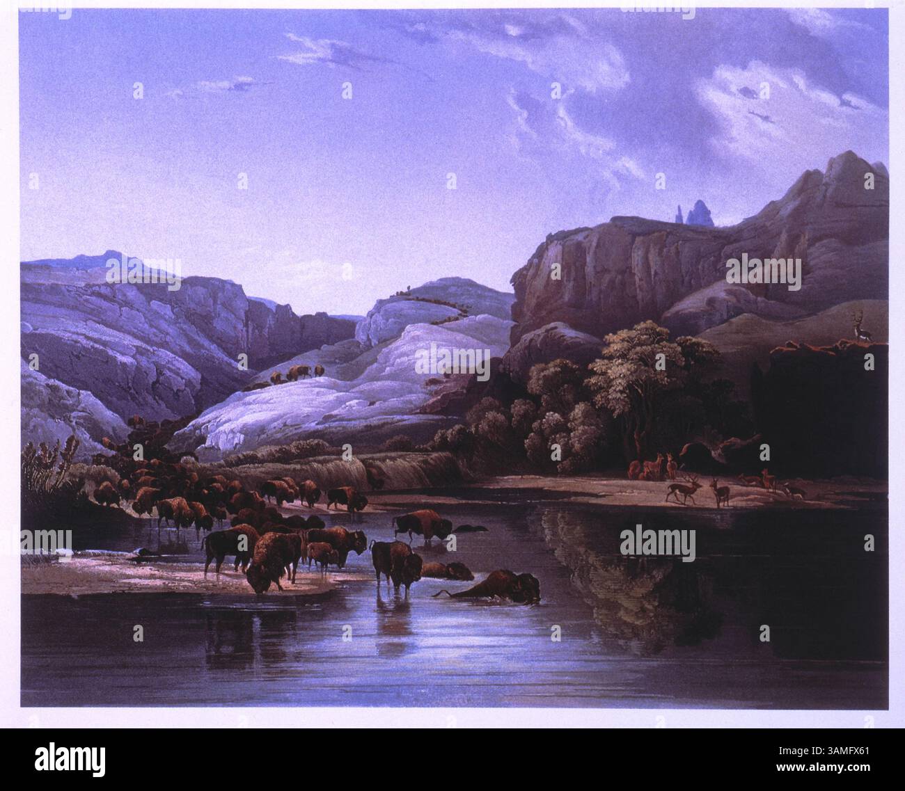 June 1, 1900 - Herds of Bison and Elk on the Upper Missouri, Lithograph ...