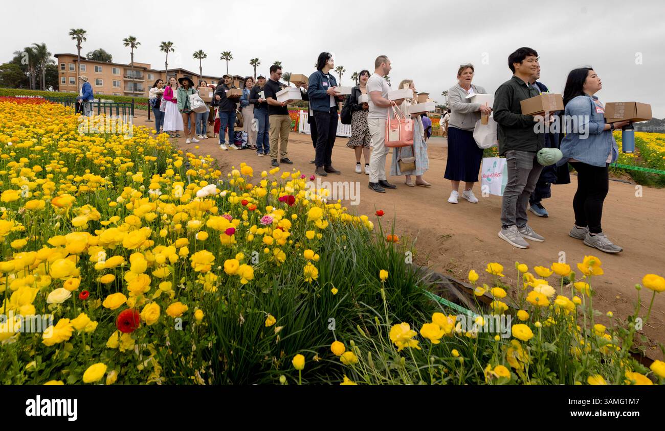 Carlsbad, California, USA. 13th Apr, 2025. Cake lovers arrive for the ...