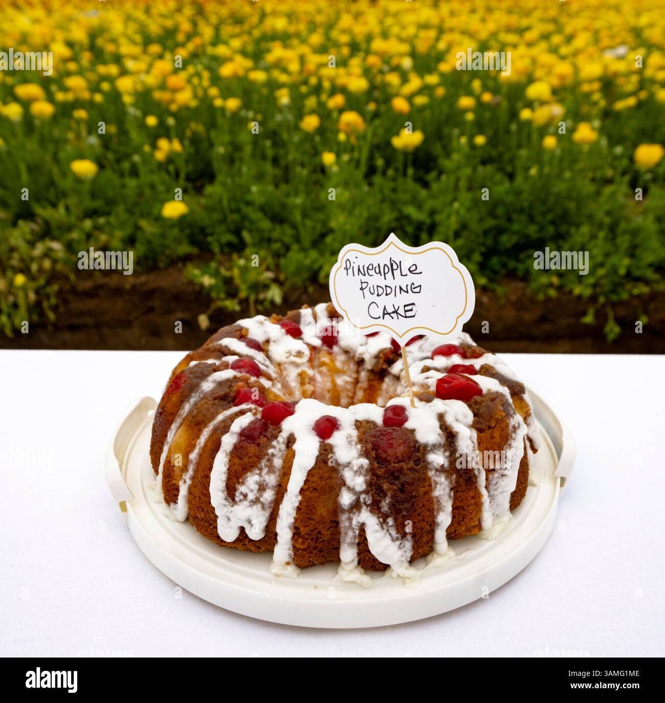 Carlsbad, California, USA. 13th Apr, 2025. The Cake Picnic Tour stop at ...