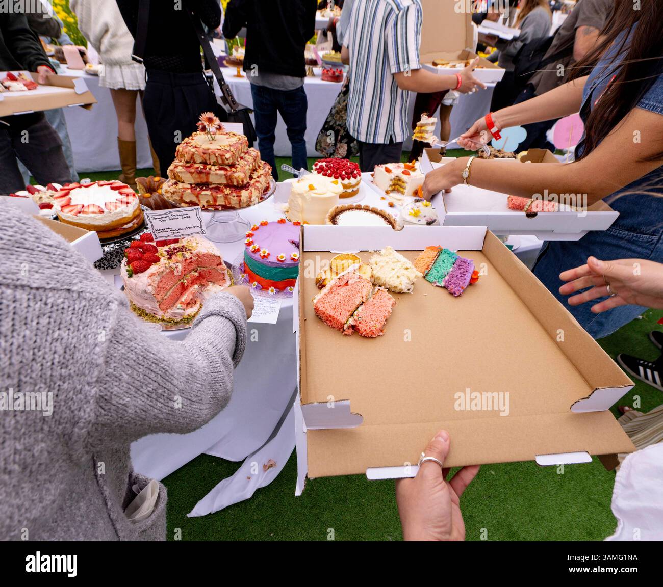 Carlsbad, California, USA. 13th Apr, 2025. The Cake Picnic Tour stop at ...
