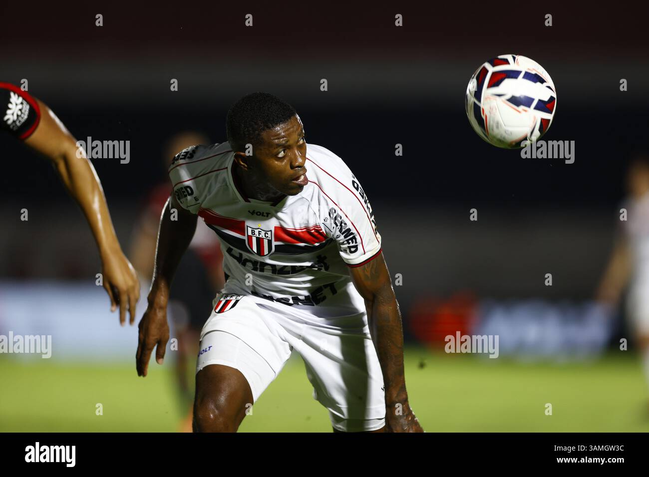 SP - RIBEIRAO PRETO - 04/13/2025 - BRAZILIAN B 2025, BOTAFOGO-SP x ...