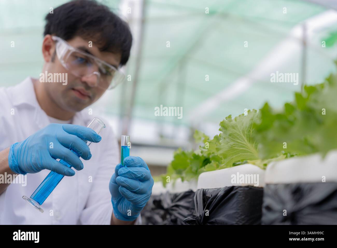 Organic farming, salad farm. Science farmers are checking water conditions during planting ...