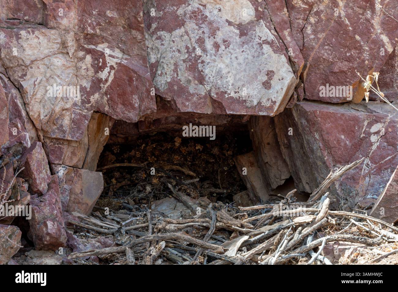 The rat pack hi-res stock photography and images - Alamy