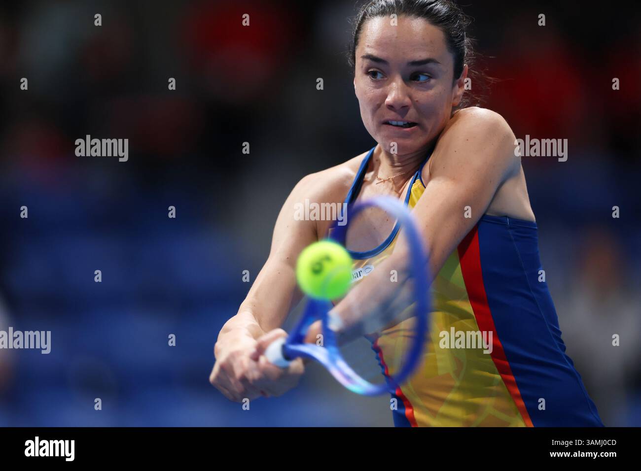 Miriam bianca bulgaru hi-res stock photography and images - Alamy