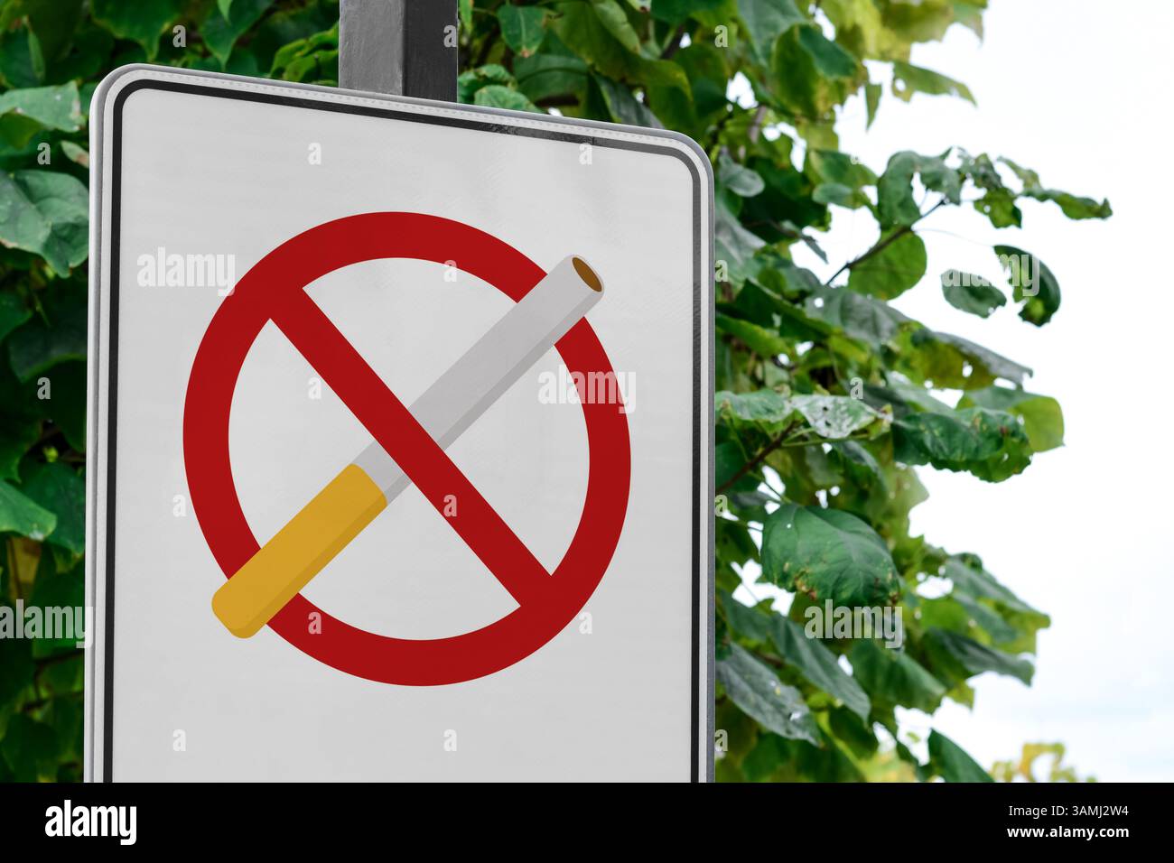 No Smoking sign against tree with green leaves Stock Photo - Alamy