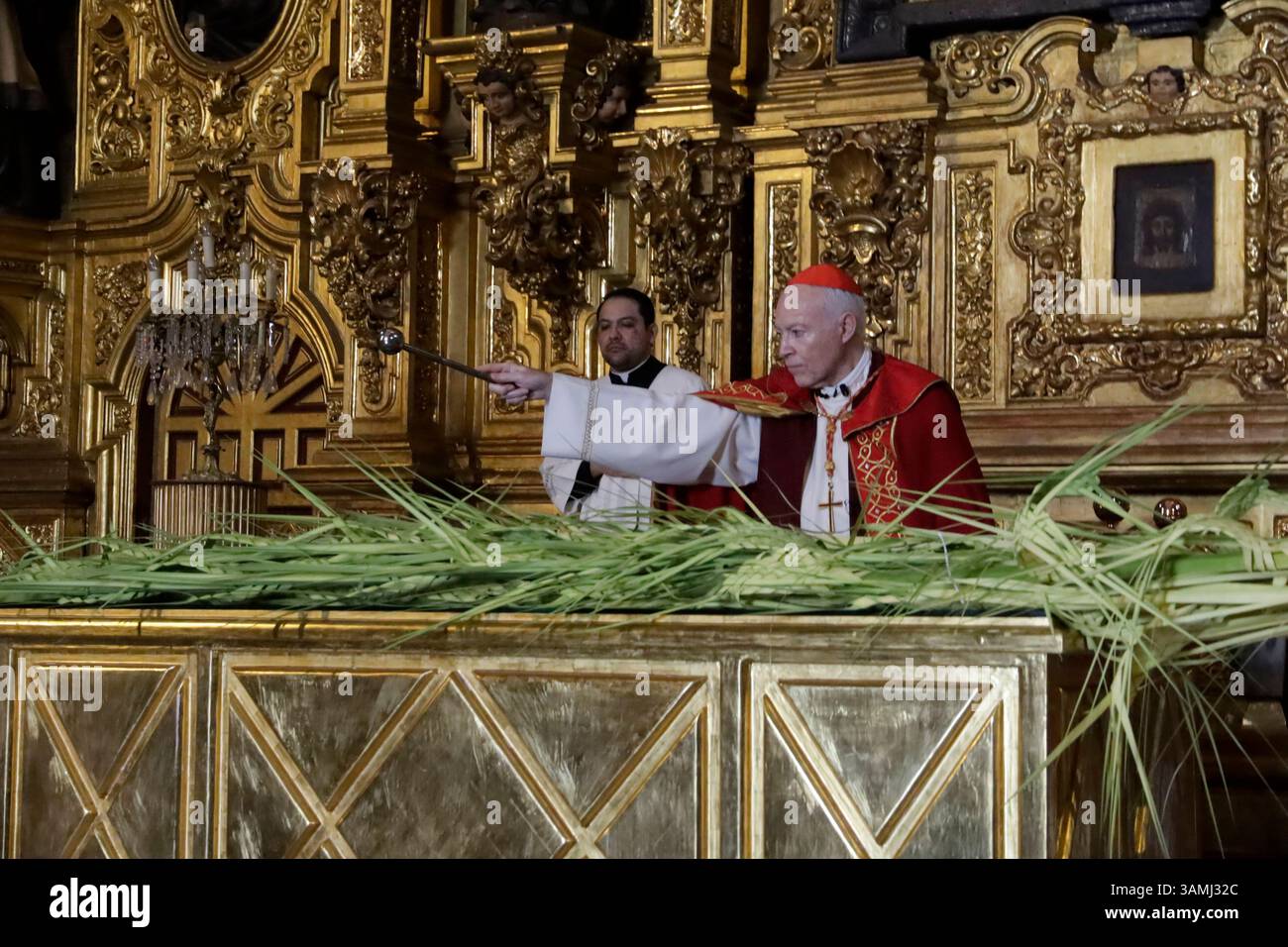 Archbishop Primate of Mexico, Carlos Aguiar Retes blessing palm ...