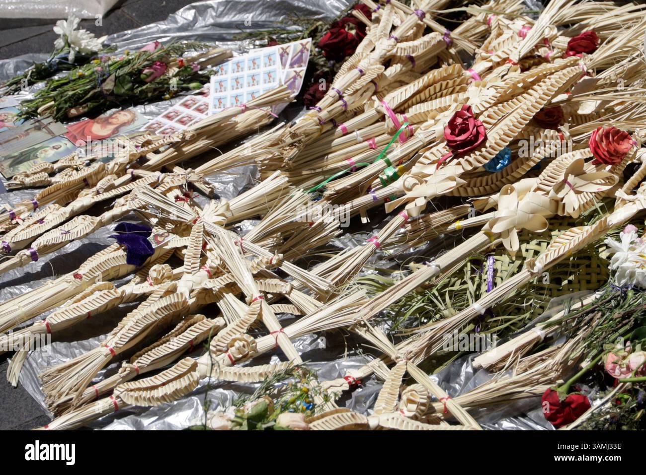 Palm branches are seen during the solemn Mass for Palm Sunday to bless ...