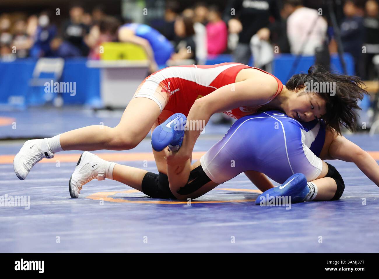 Akari fujinami hi-res stock photography and images - Alamy