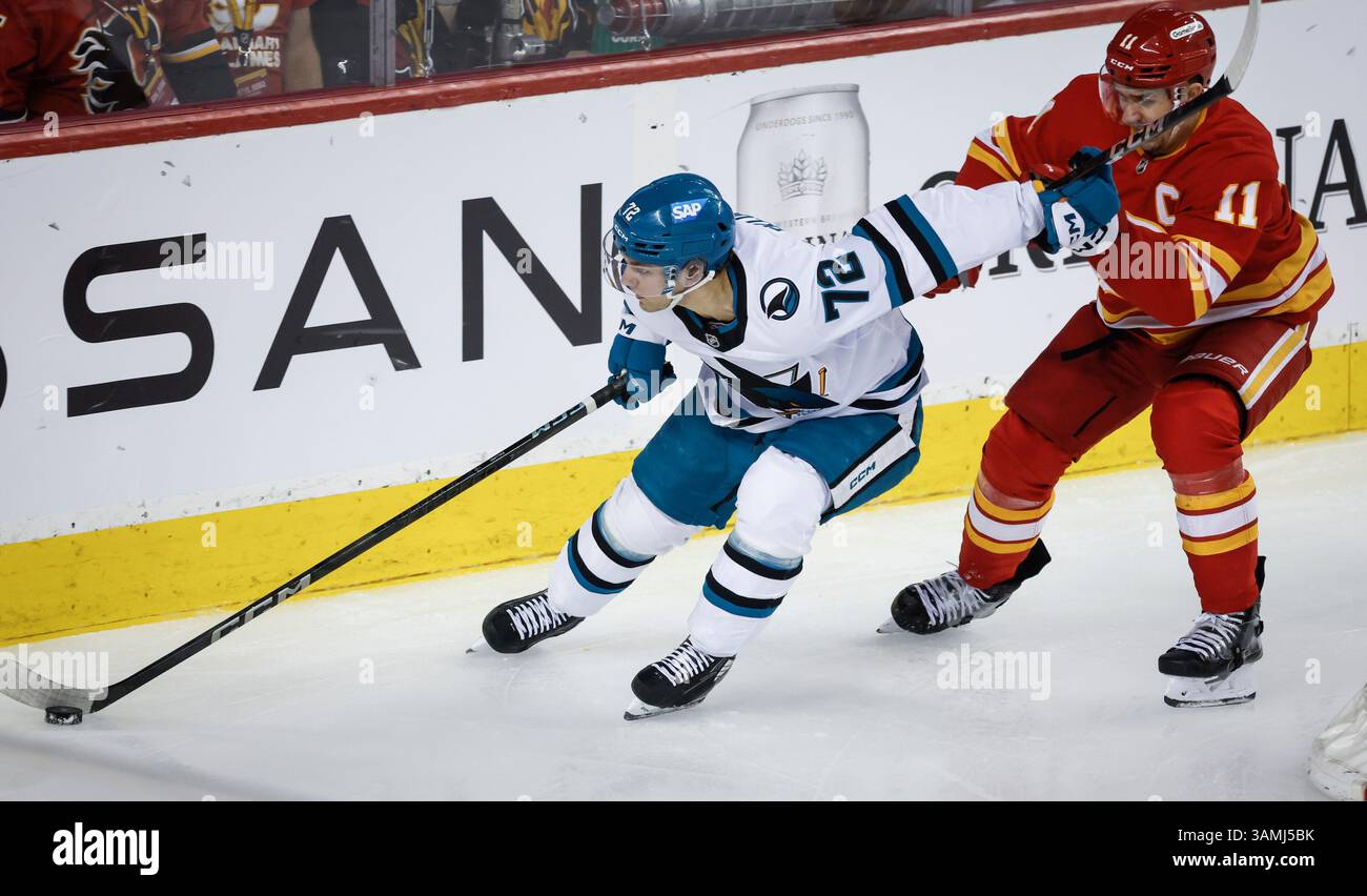 San Jose Sharks' William Eklund (72) holds off Calgary Flames' Mikael ...