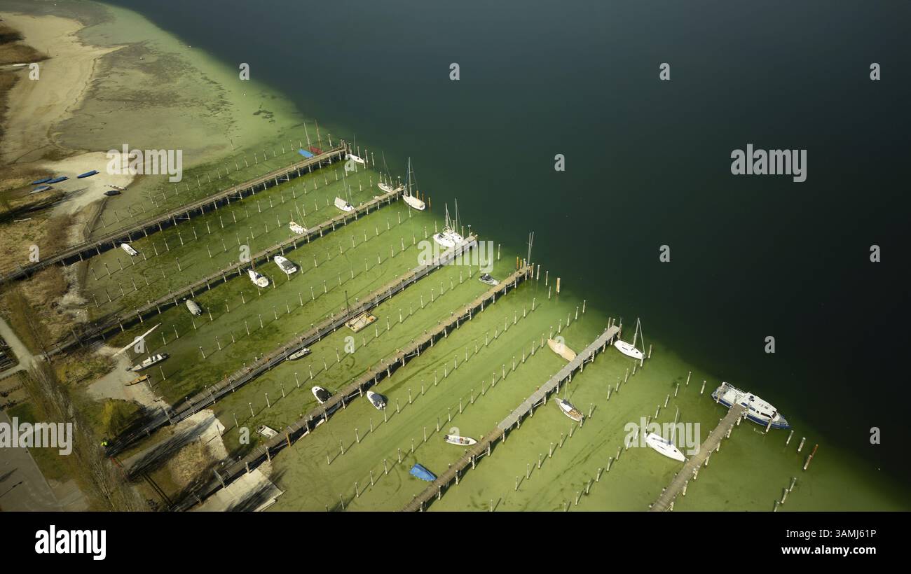 Extremely low water on the island of Reichenau in Lake Constance April ...