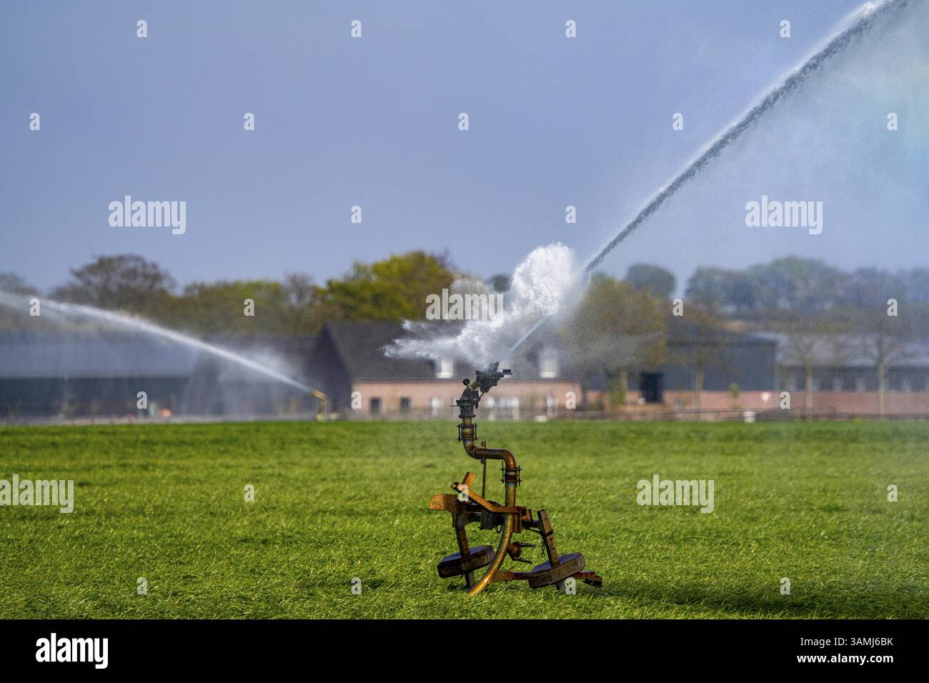 Artificial irrigation of a cereal field in April, with a sprinkler ...