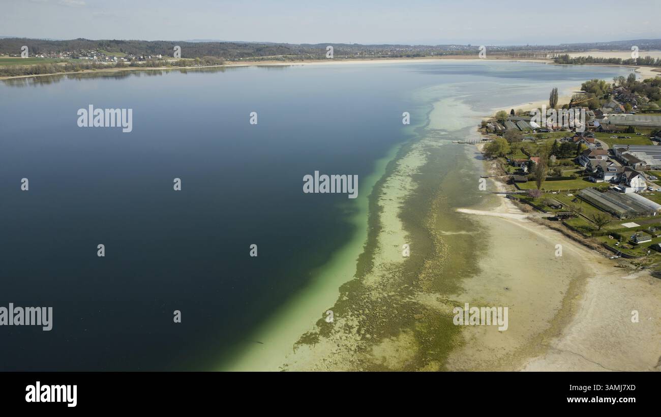 Extremely low water on the island of Reichenau in Lake Constance April ...