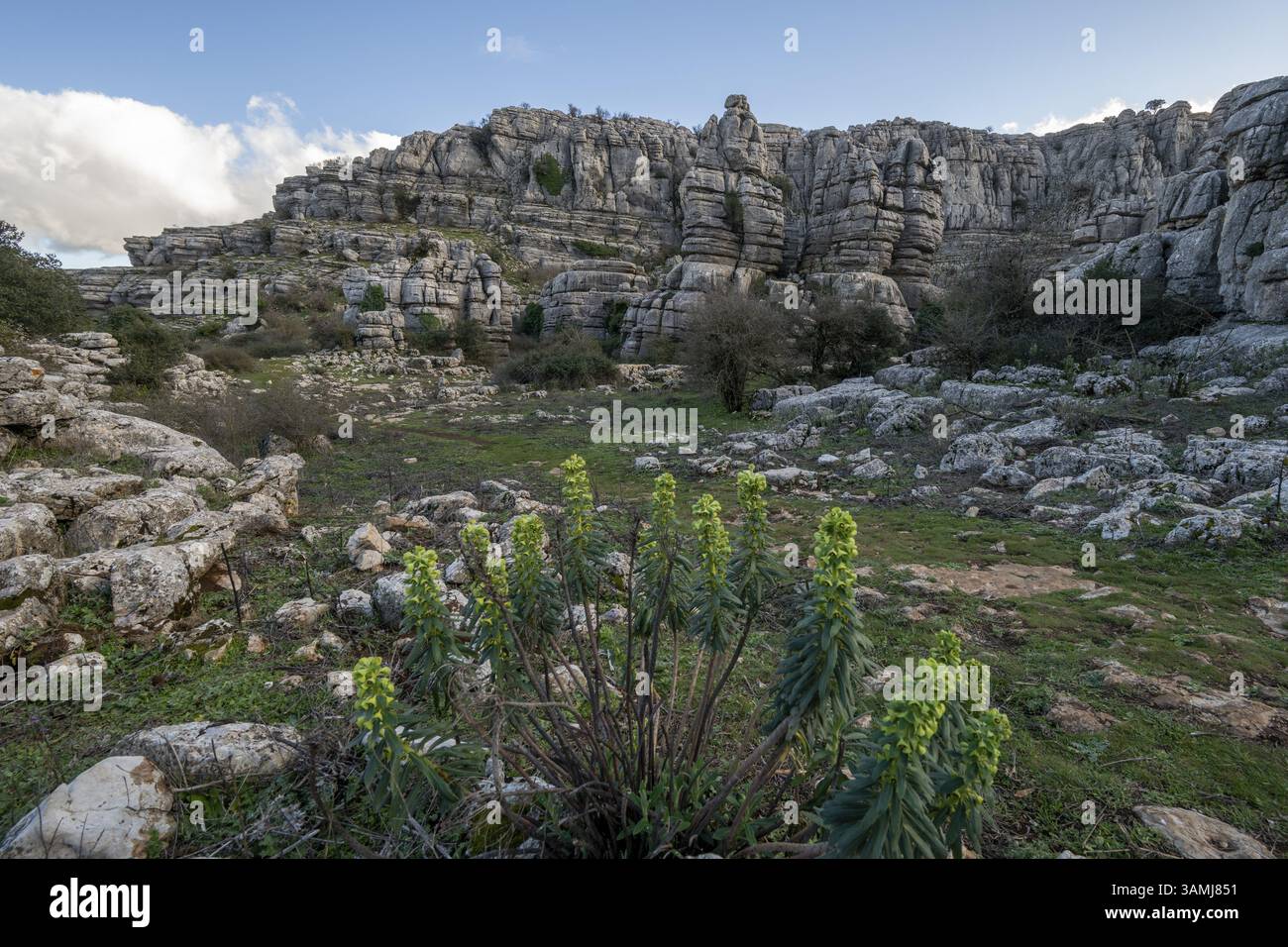 Bizarre limestone rock formations, El Torcal nature reserve, Torcal de ...