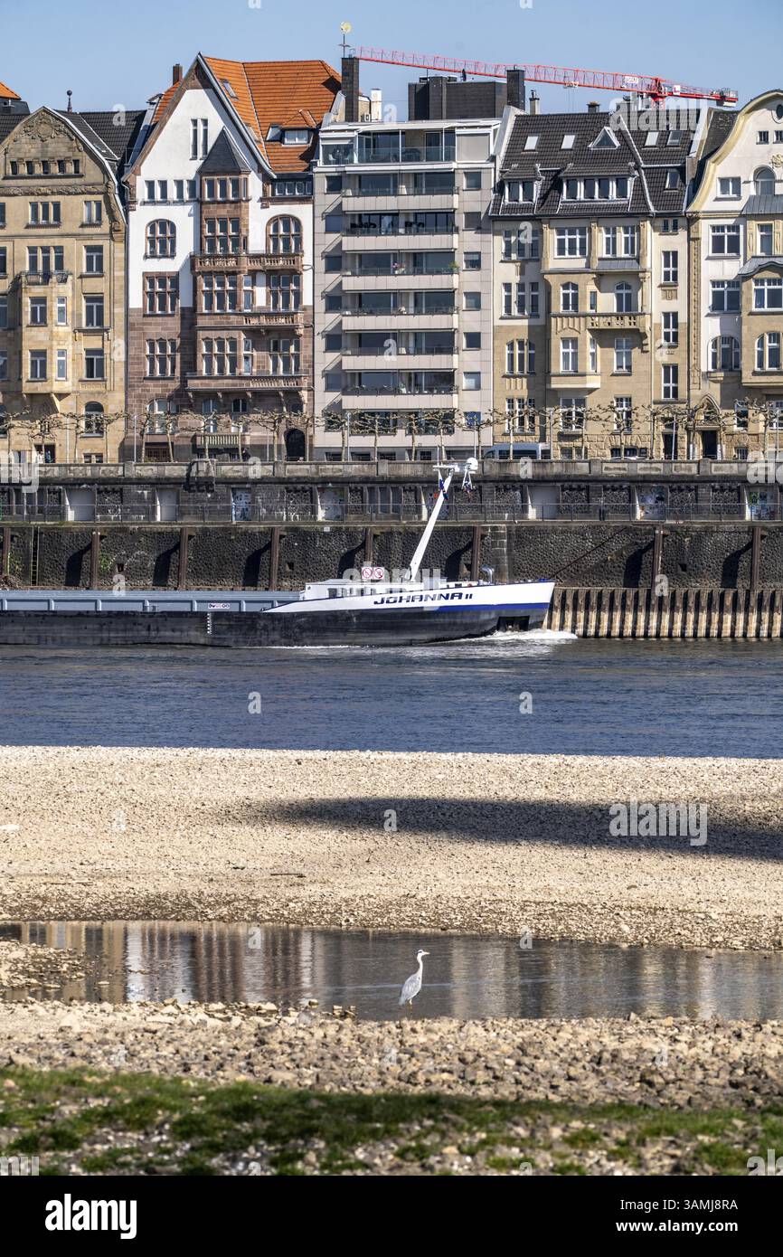Rhine at Duesseldorf, extremely low water, Rhine level at 114 cm, after ...